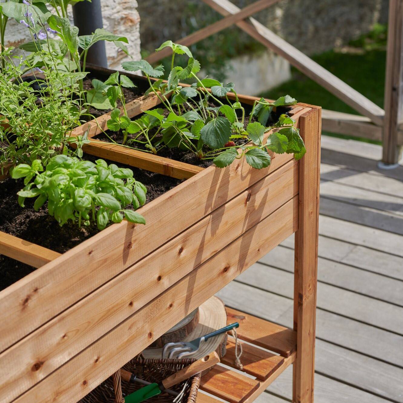 Table Potagère sur Pieds en en Bois Elga EKJU